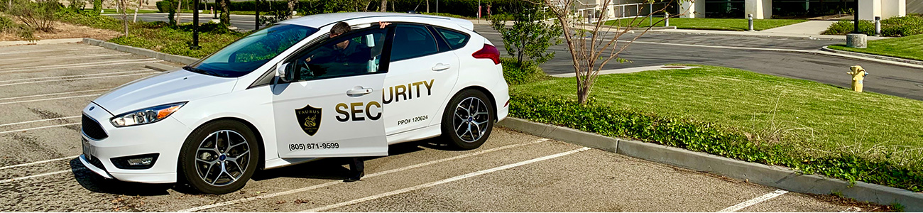 Security Services by Taurus Protection, Inc.