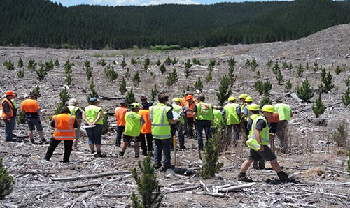 Tree Breeding | Introducing the TopTree App