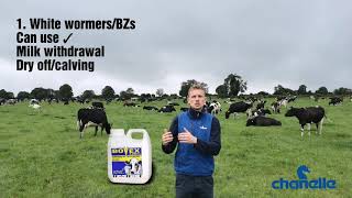 Worming the Dairy Cow | Weekly View | Farm Health First