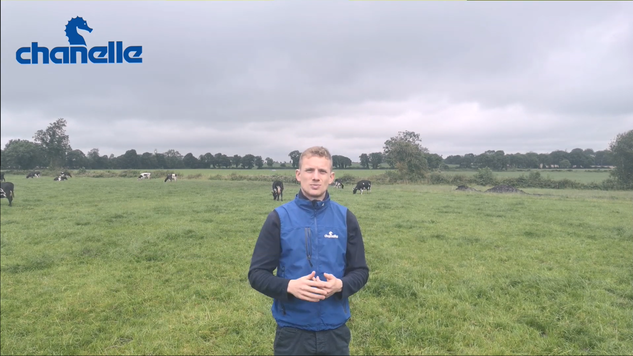 Yield Response to Dosing in Dairy Cows | Weekly View | Farm Health First