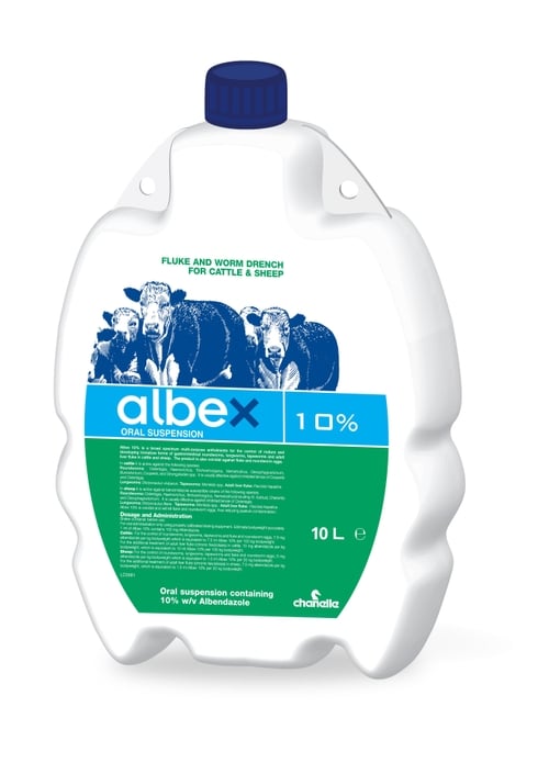 Gastrointestinal Worms in Sheep | Diseases & Solutions | Farm Health First