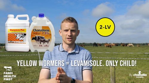 Wormer Classes for Cattle and Sheep - Understanding the Basics | Weekly ...