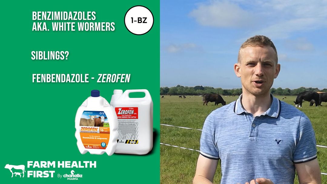 Wormer Classes for Cattle and Sheep - White Wormers | Weekly View ...