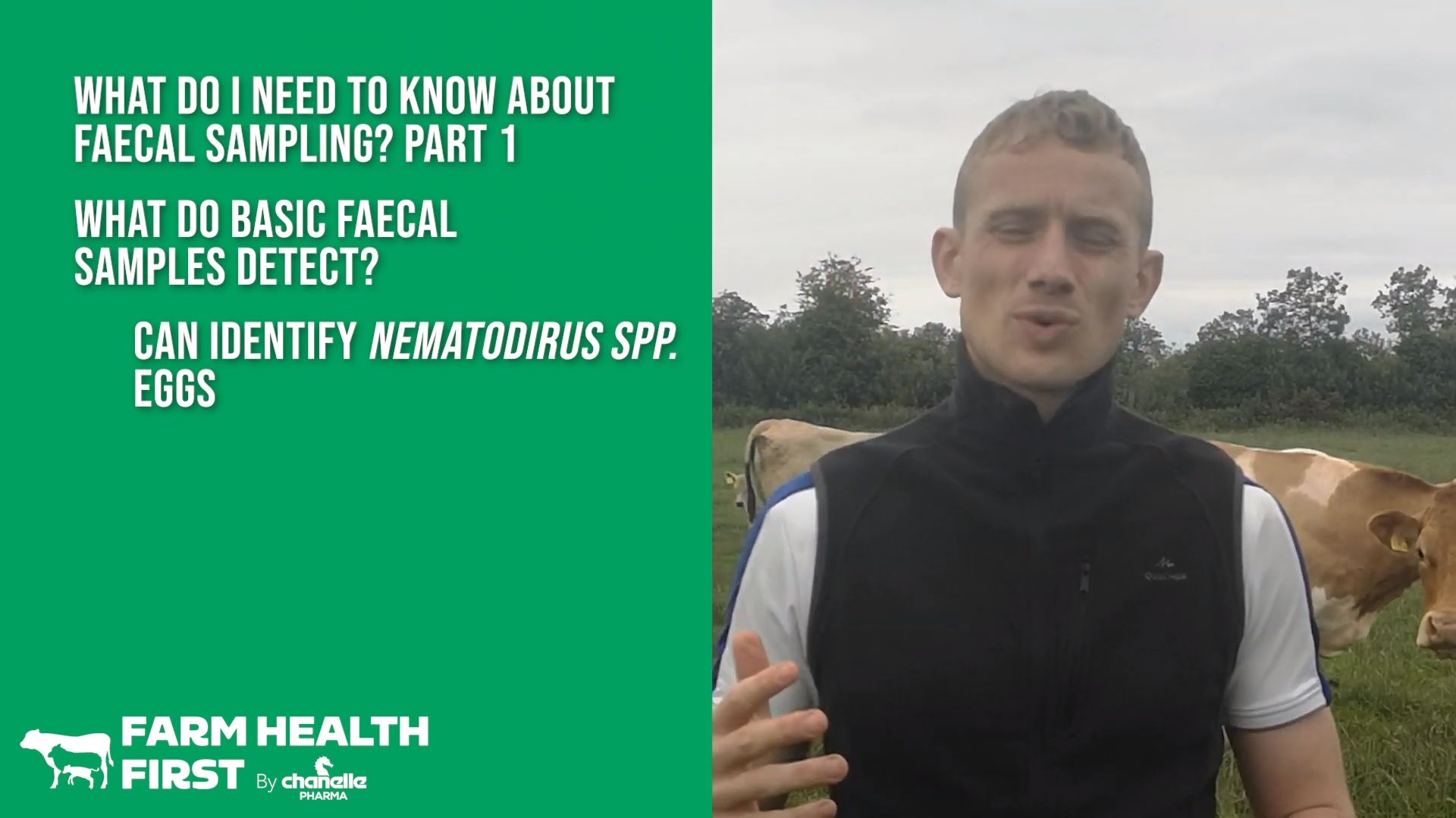 What Should You Know About Faecal Sampling - Part 1 | Weekly View ...