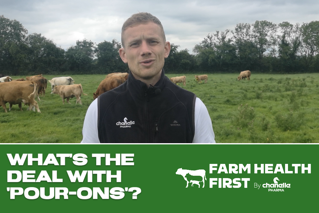 What's the Deal with Pour-ons? | Weekly View | Farm Health First