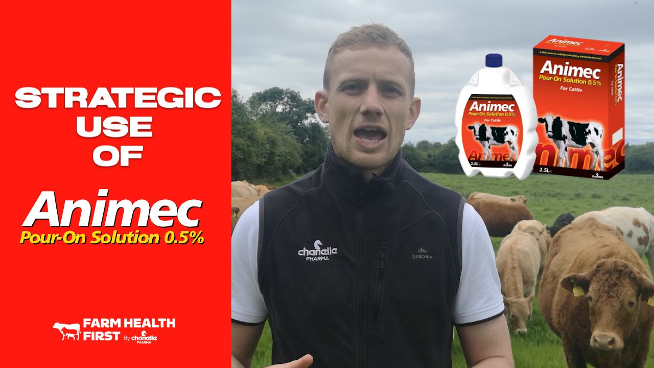 Strategic Use of Animec® Pour-On | Weekly View | Farm Health First