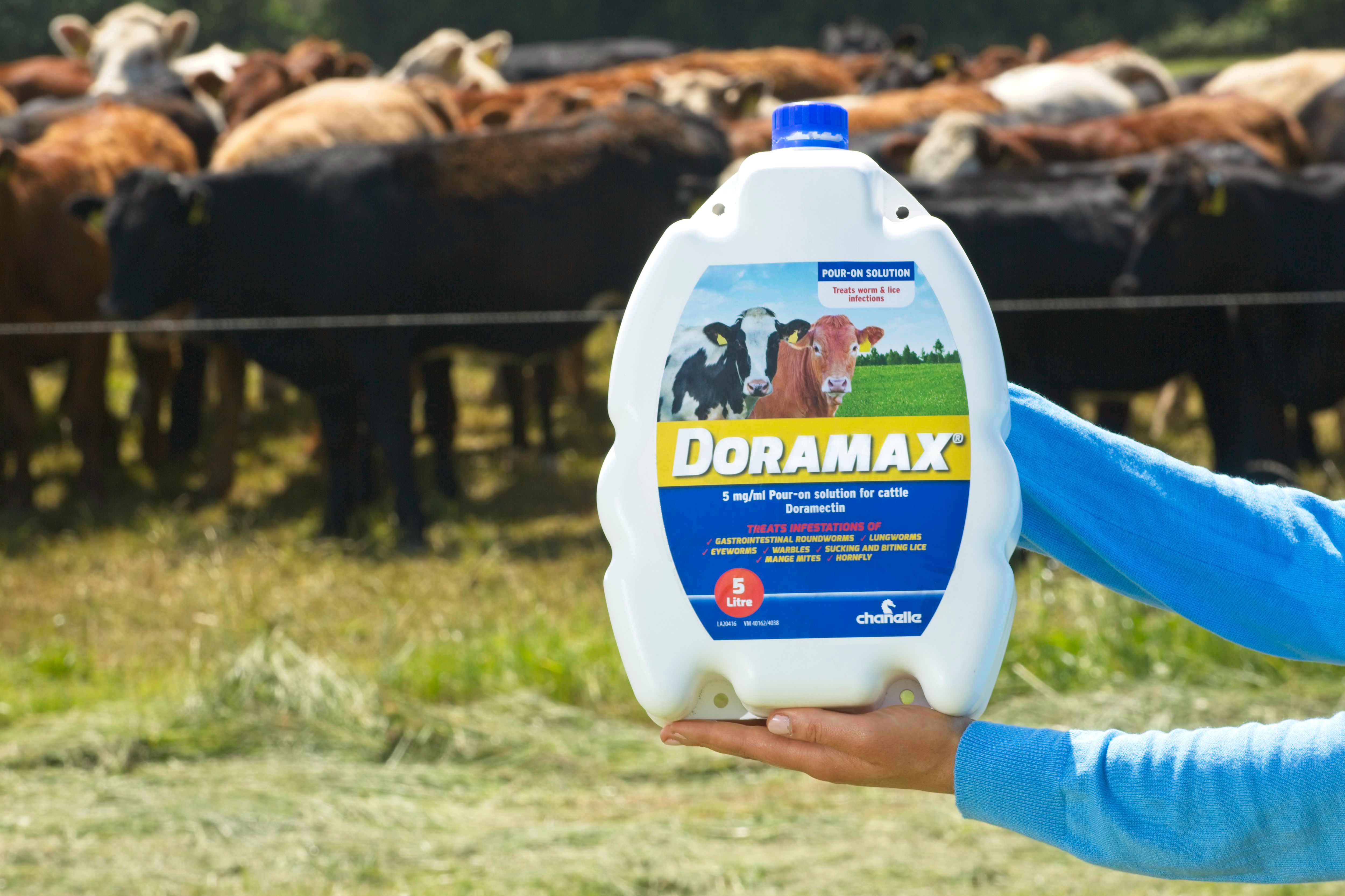 Introducing Doramax® Pour-on | Weekly View | Farm Health First