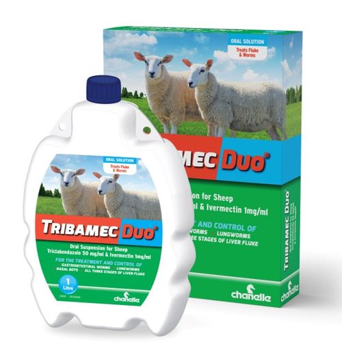 Liver Fluke | Diseases & Solutions | Farm Health First