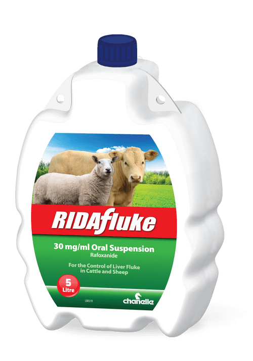 Liver Fluke | Diseases & Solutions | Farm Health First