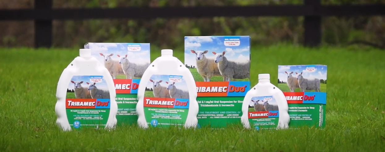 Introducing Tribamec Duo Drench | Weekly View | Farm Health First