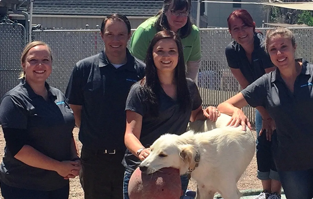 About | Pinnacol Workers' Comp