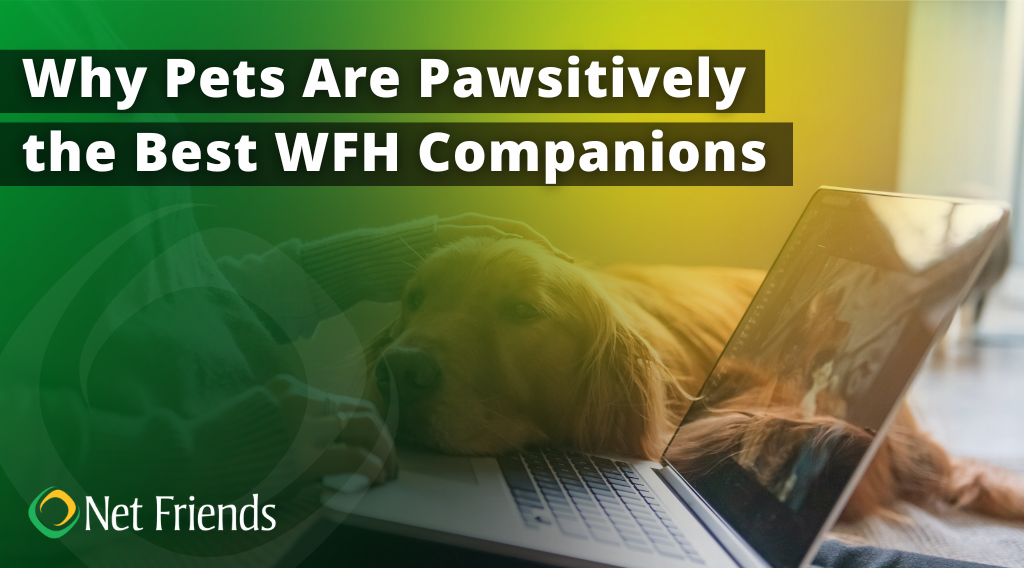 Why Pets Are Pawsitively the Best WFH Companions | Managed IT Services ...