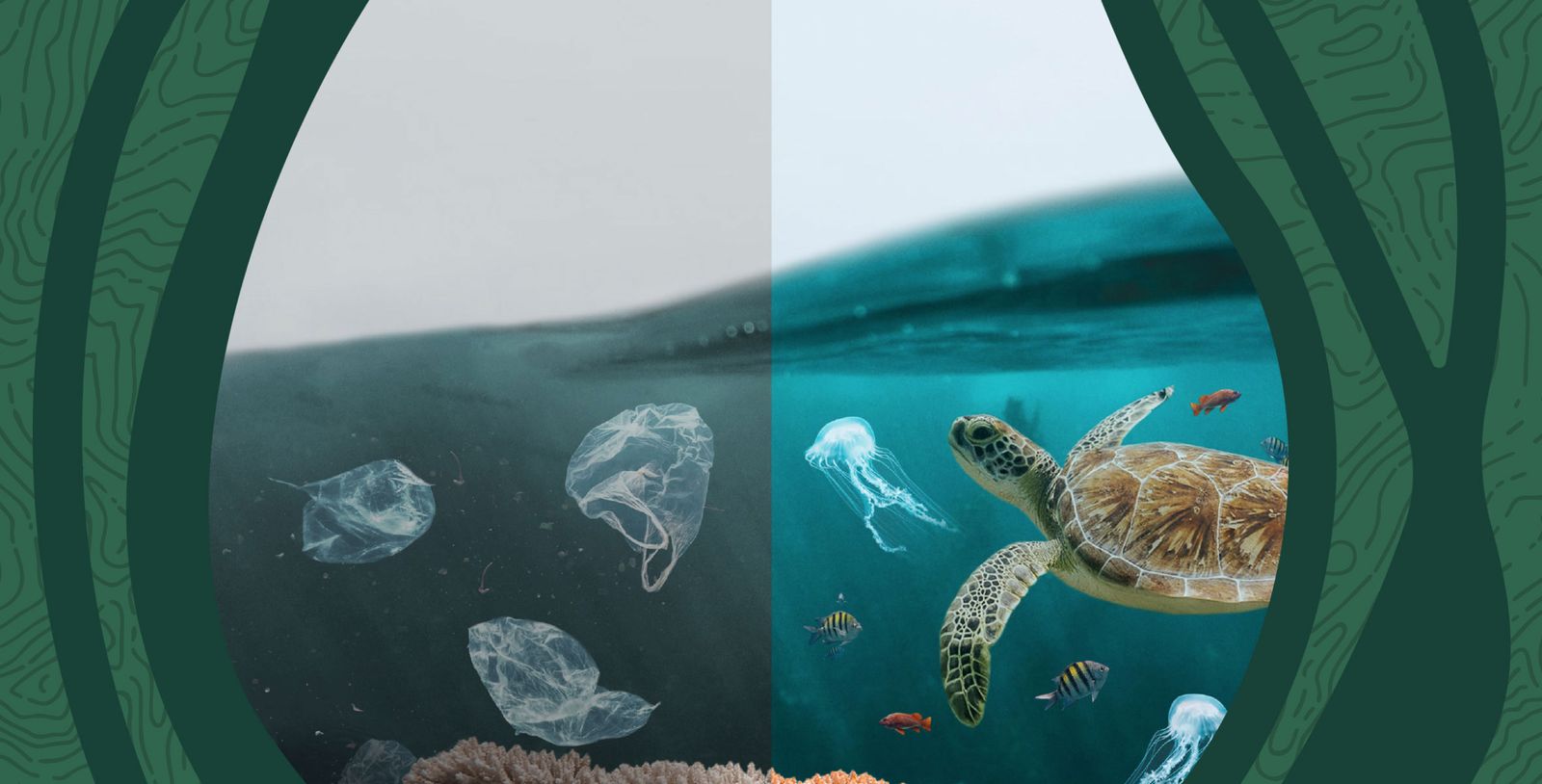 Introducing SeaStretch – innovative paper pallet wrap by Seaman Paper