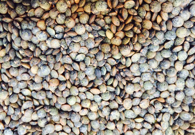 Edison Grainery: Insight On Their Ingredients