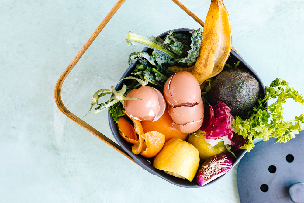 Top Food Waste Solutions