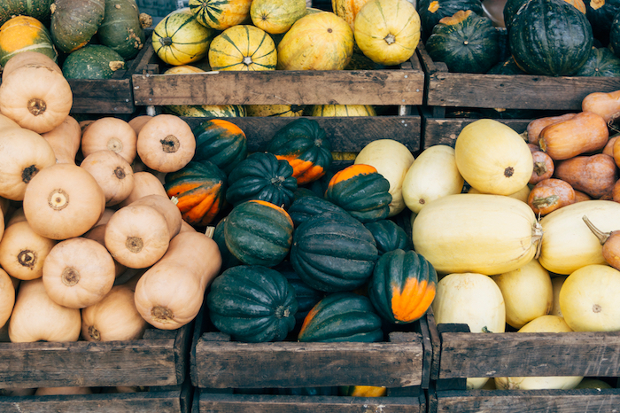 8 Squashes & Pumpkins to Fall For