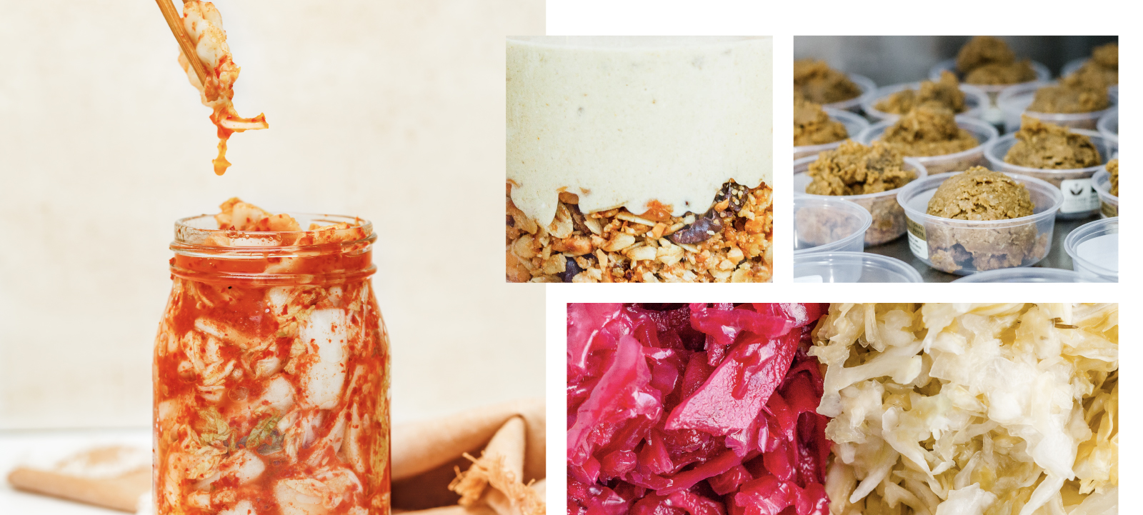 Fermented Foods for Gut Health