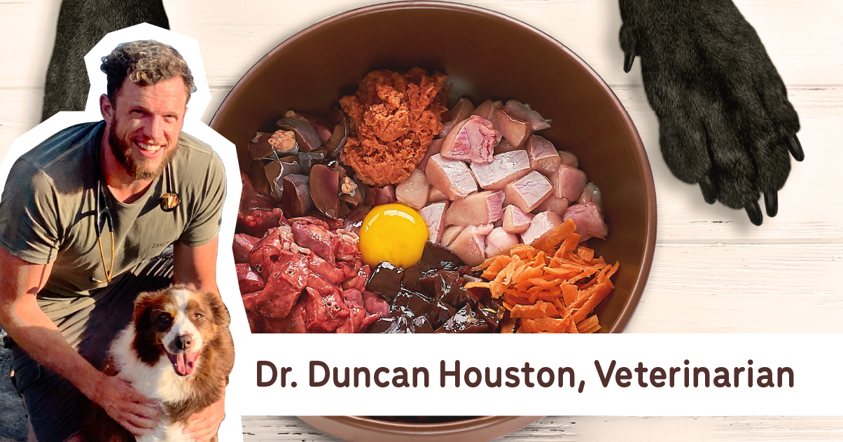 DCM and Heart Disease in Dogs and the Role Diet Plays - Guides | Big ...