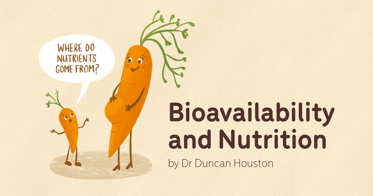 Bioavailability and Nutrition - Guides | Big Dog Pet Foods