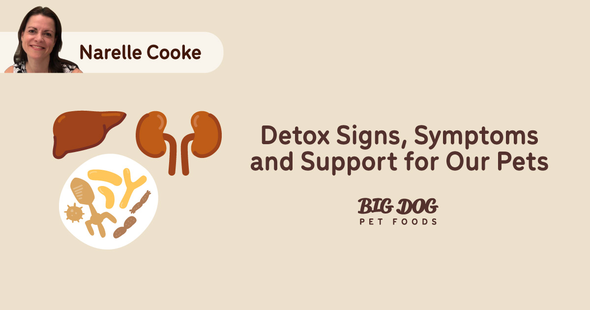 Detox Signs, Symptoms and Support for Our Pets - Guides | Big Dog Pet Foods