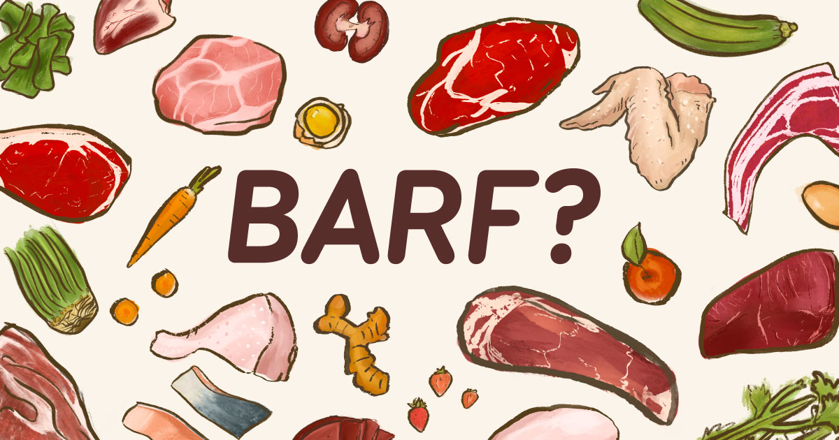 What is BARF? - Guides | Big Dog Pet Foods
