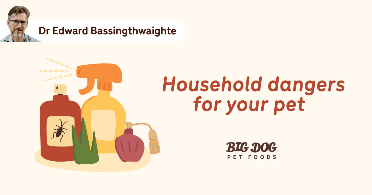 Household dangers for your pet - Guides | Big Dog Pet Foods