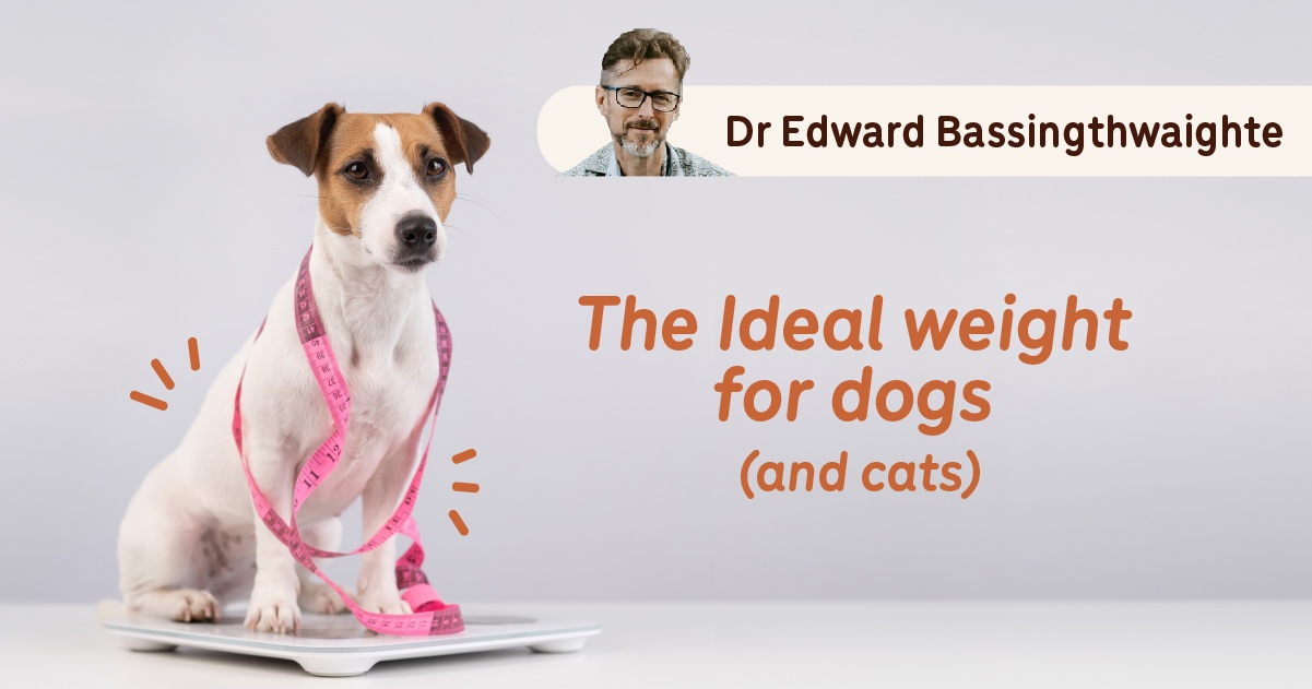 Ideal weight for dogs (and cats) - Guides | Big Dog Pet Foods