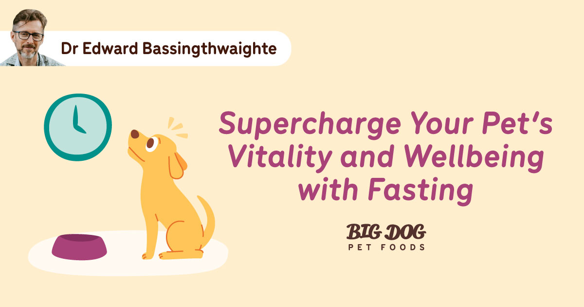 Supercharge Your Pet's Vitality and Wellbeing with Fasting - Guides ...
