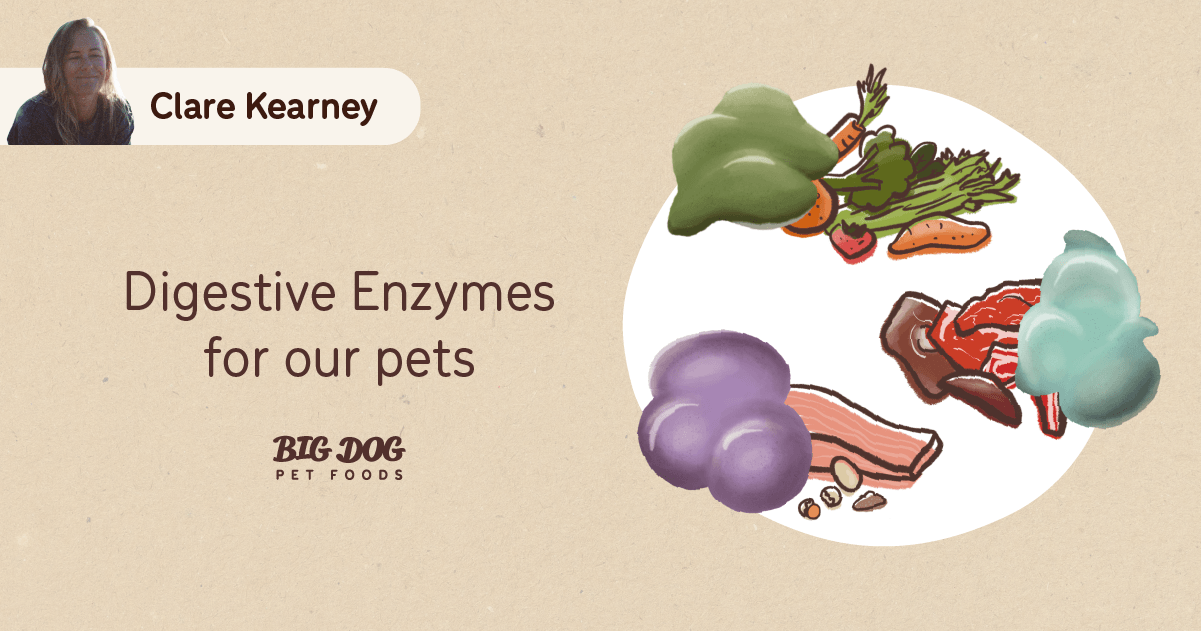 Digestive Enzymes for our pets - Guides | Big Dog Pet Foods