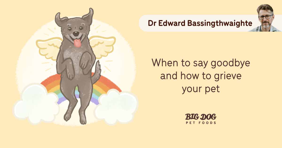 When to say goodbye and how to grieve your pet - Guides | Big Dog Pet Foods