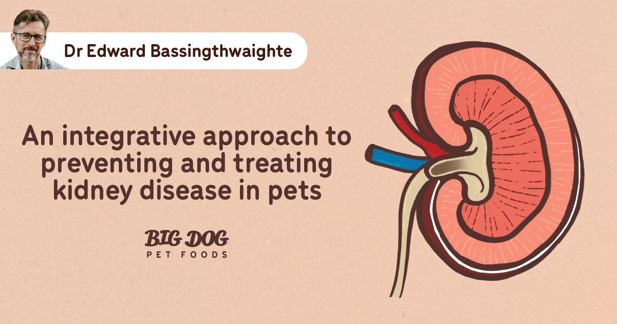 An integrative approach to preventing and treating kidney disease in ...