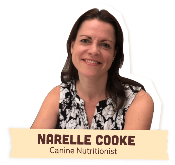 Does my dog need a probiotic? - Guides | Big Dog Pet Foods