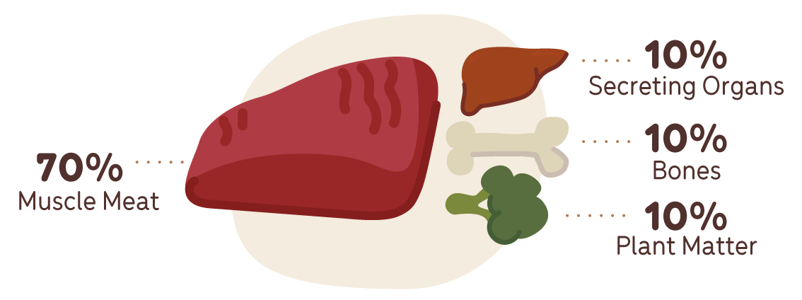 A beginner's guide to raw dog food - Guides | Big Dog Pet Foods