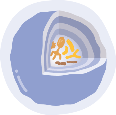 How to choose the best probiotic for your dog - Guides | Big Dog Pet Foods