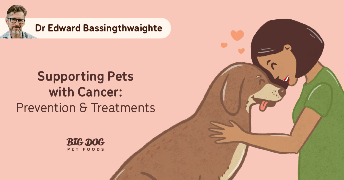 Supporting Pets with Cancer: Prevention & Treatments - Guides | Big Dog ...
