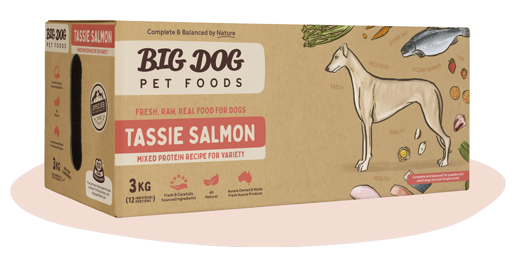 A guide to raw feeding your puppy - Guides | Big Dog Pet Foods