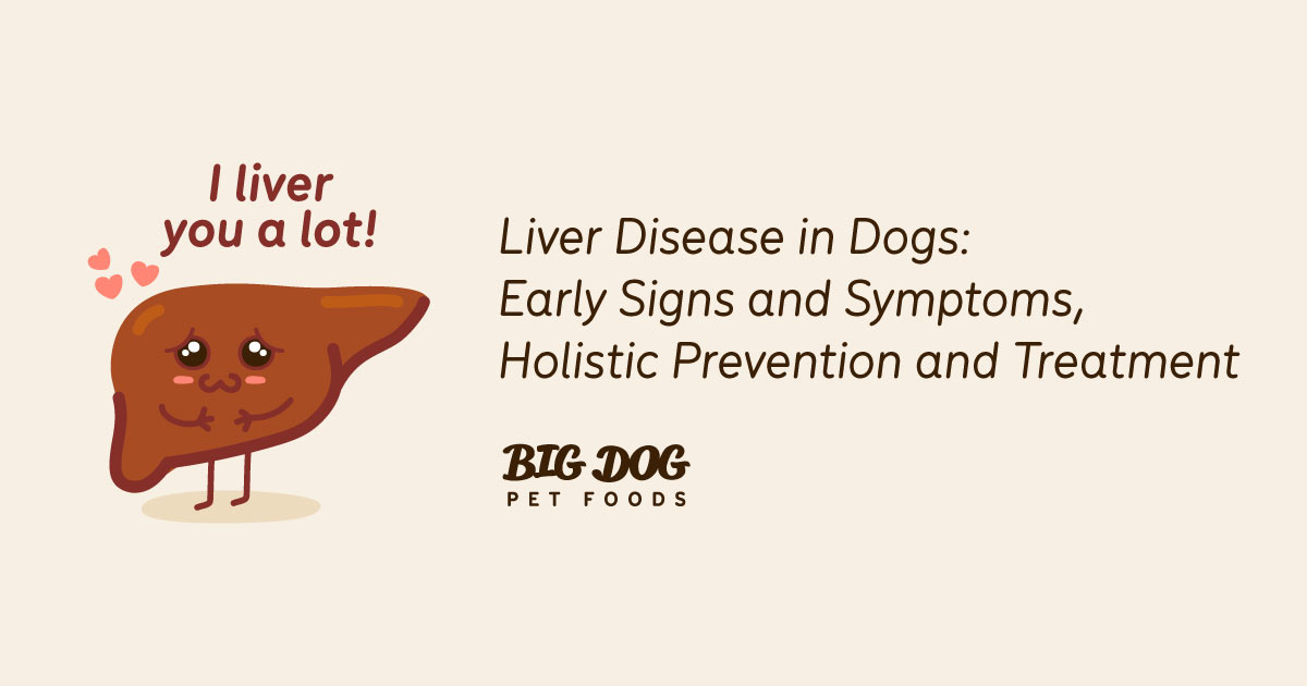 Liver Disease in Dogs: Early Signs and Symptoms, Holistic Prevention ...