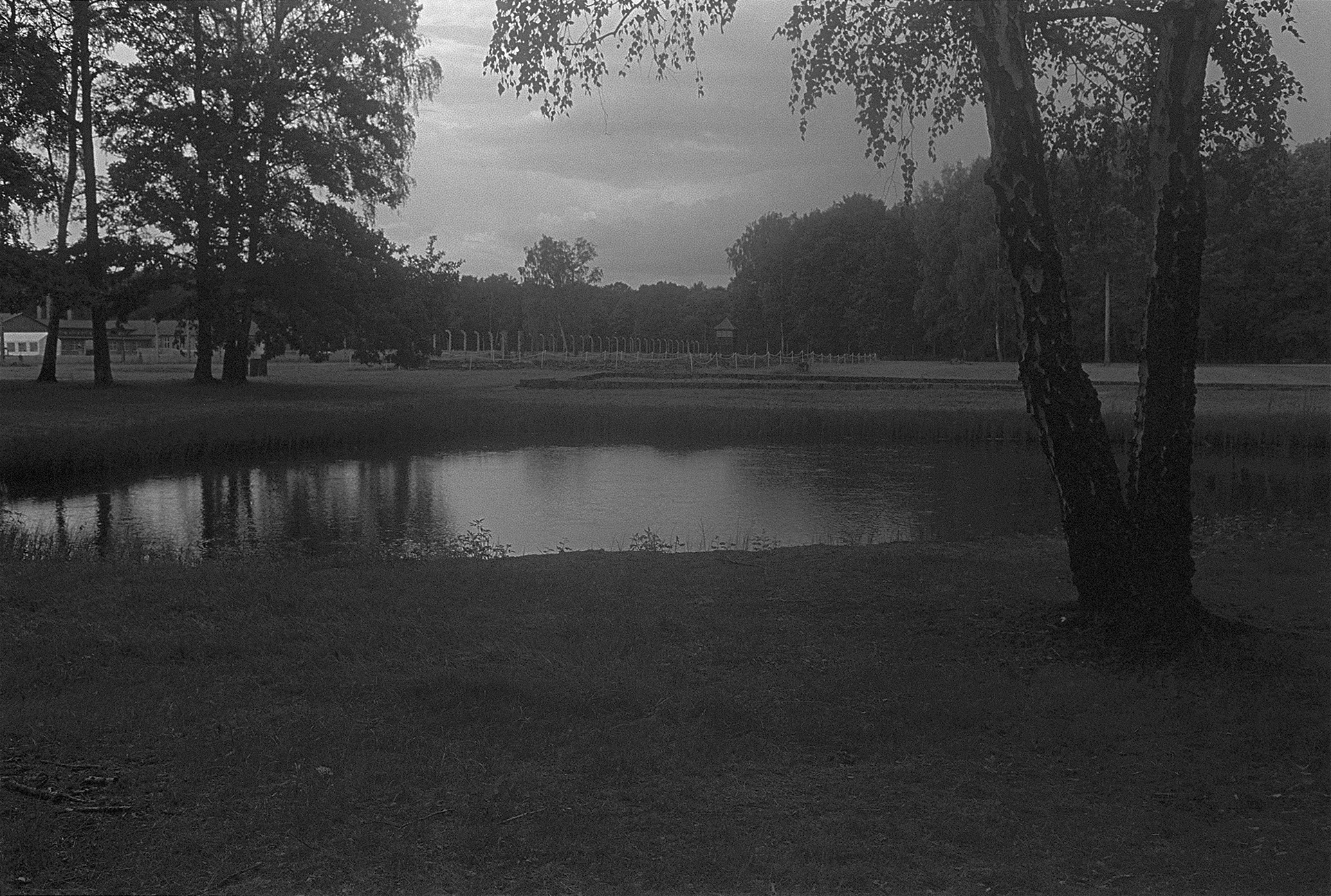 Pool, Auschwitz-Birkenau