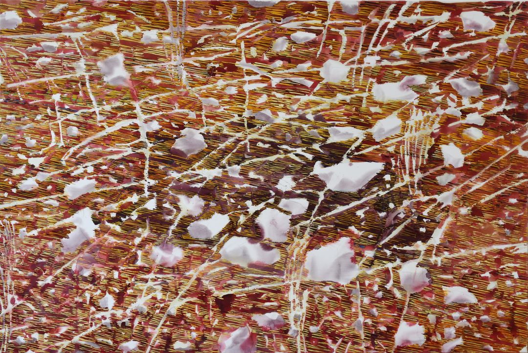 Maya Cohen Levy: Border