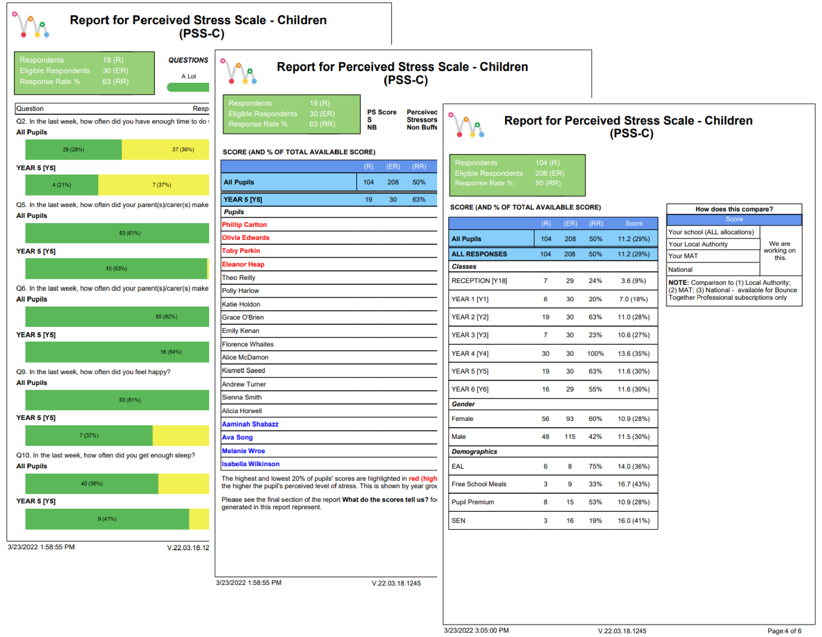 Sample Wellbeing Report - The Perceived Stress Scale | Free PDF Download