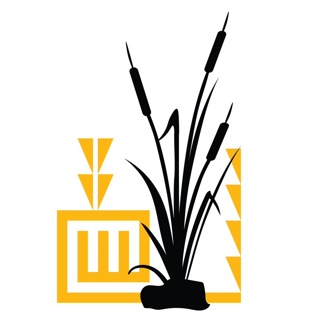 Indigenous Social Determinants of Health Training Modules (2024)