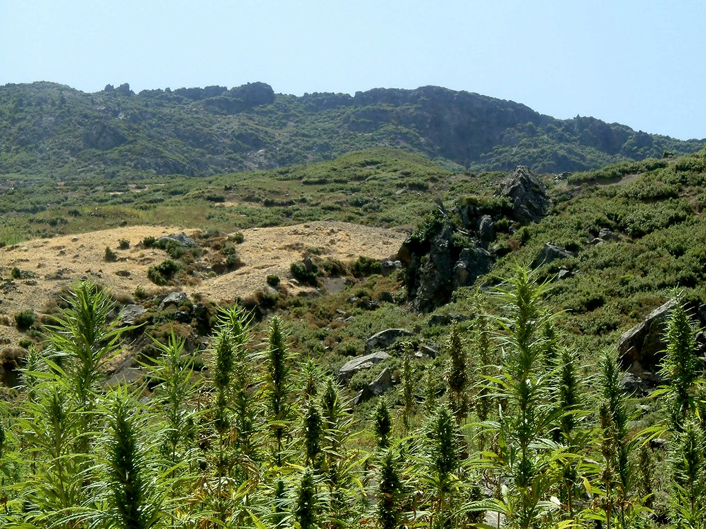 Best Travel Morocco - Rif Mountains - Visit Morocco