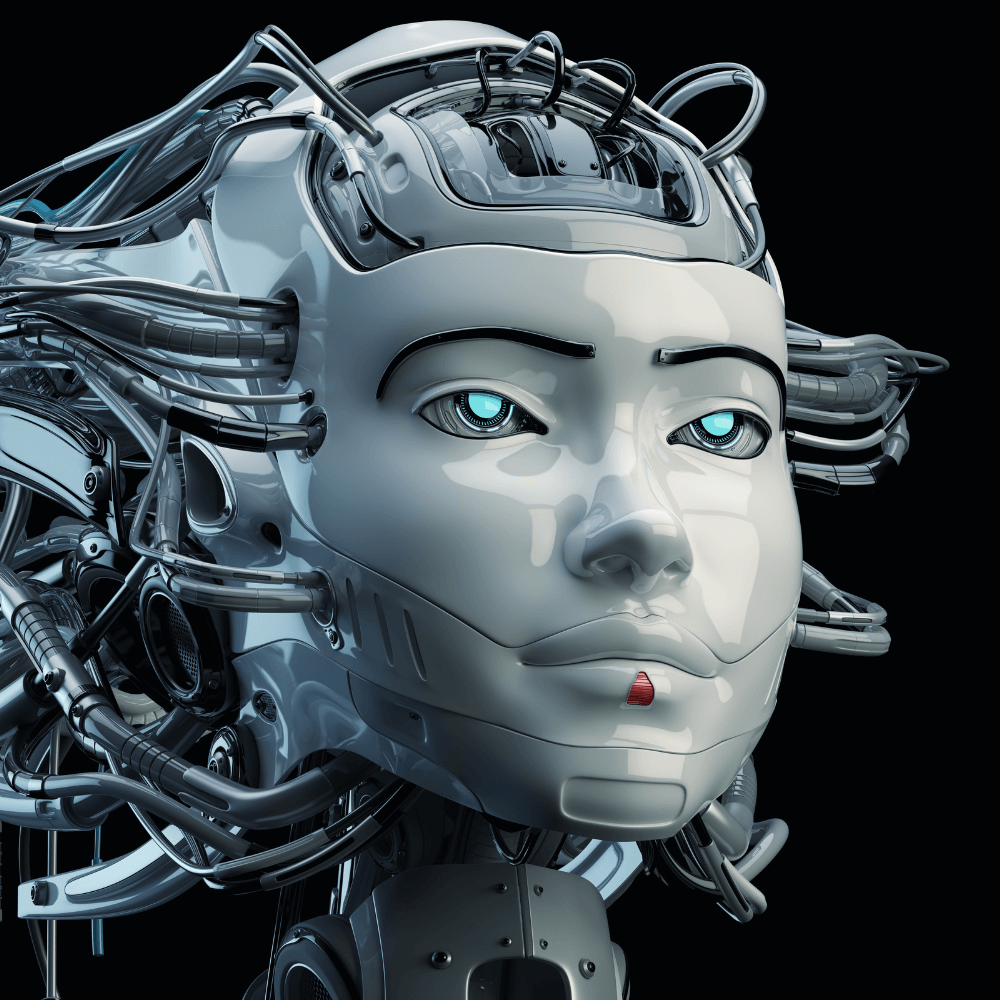 A.I. Implementation | Edwin Marie Web Design