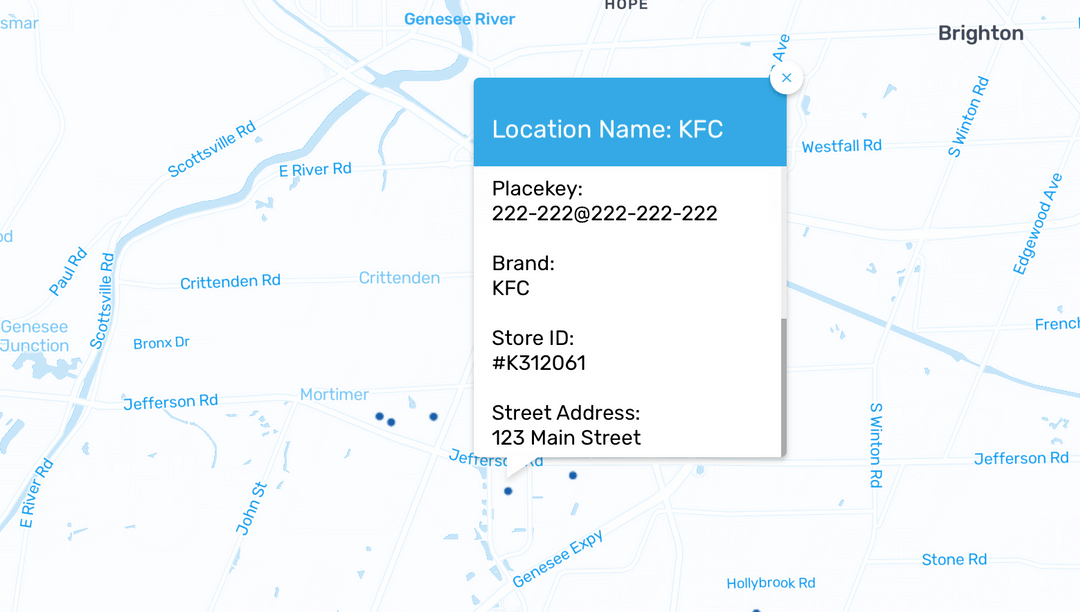 Unique IDs for Store Locations | SafeGraph Places