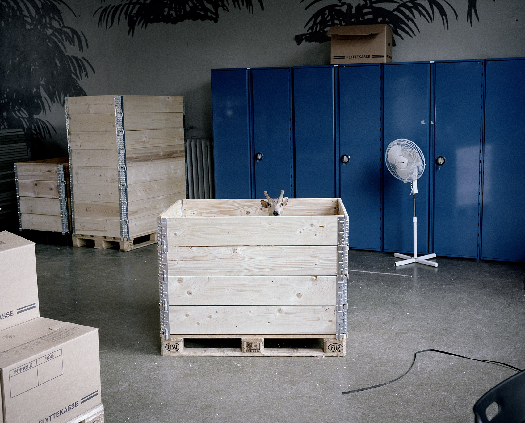 A Moveable Beast by Helge Skodvin