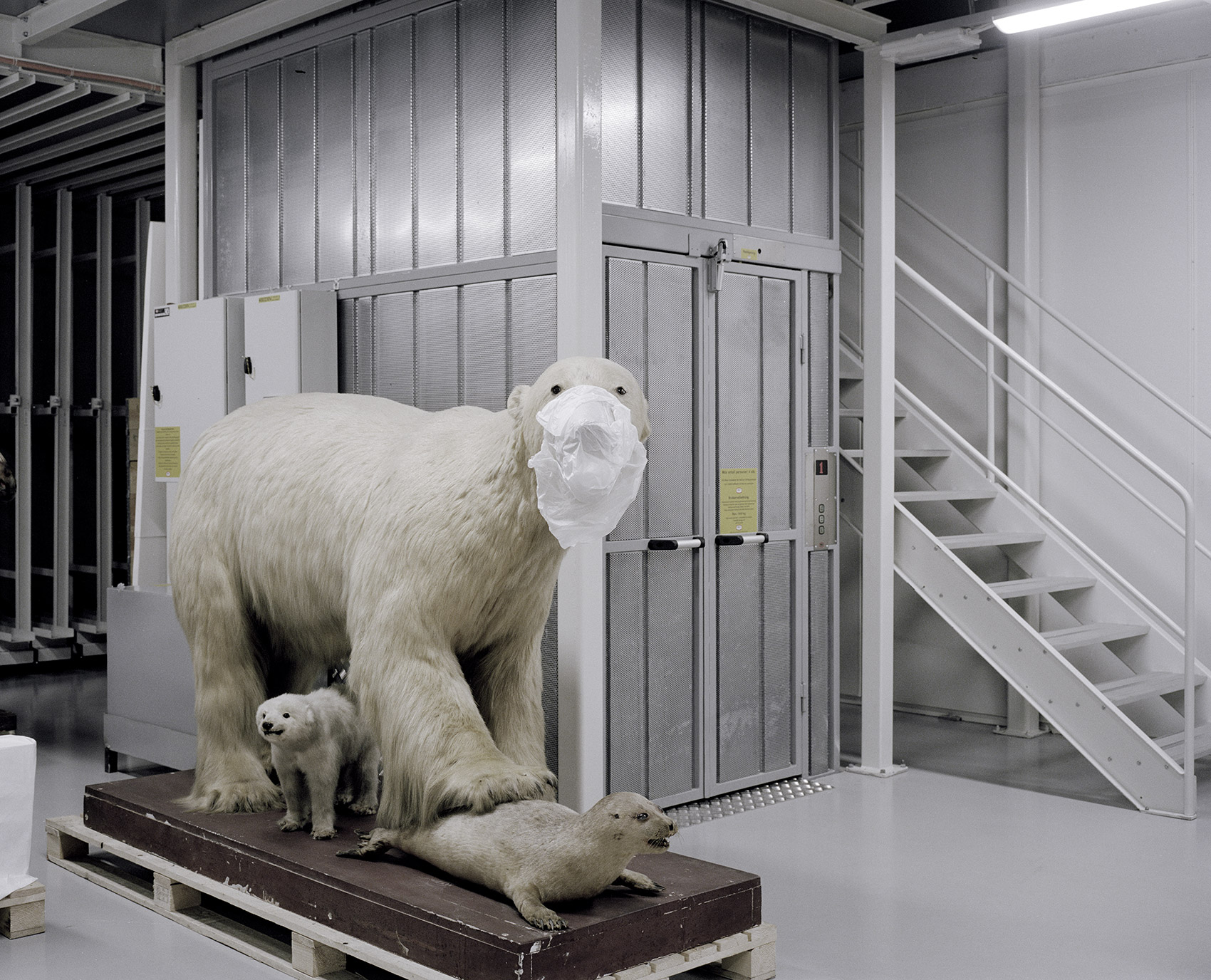 A Moveable Beast by Helge Skodvin