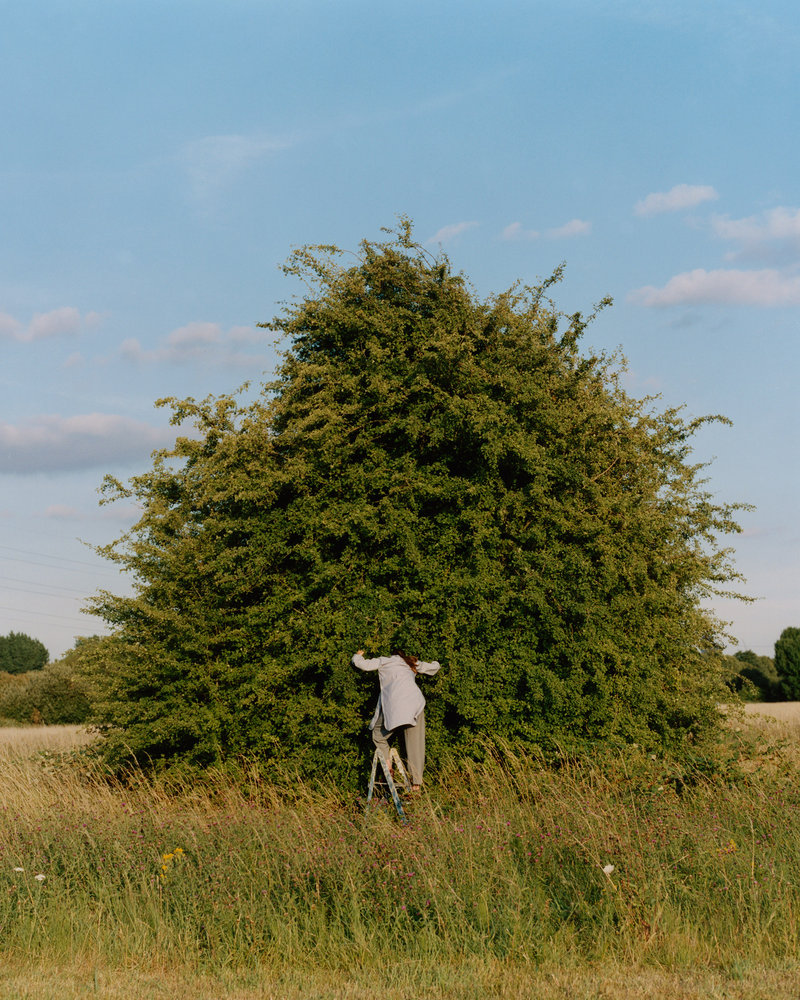 Selected works by Toby Coulson