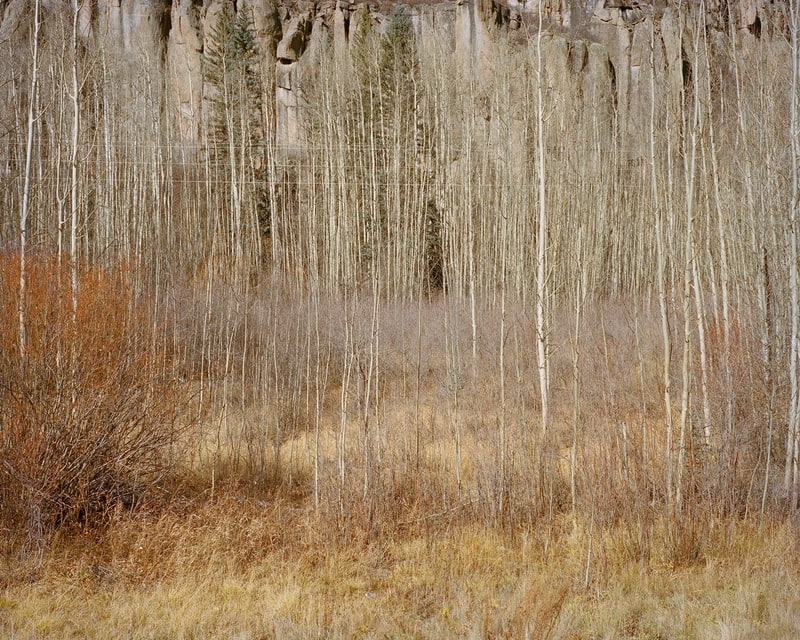 Selected works by Toby Coulson