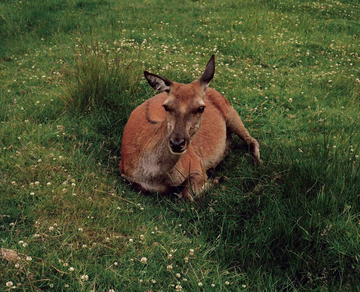 Selected works by Eva Vermandel