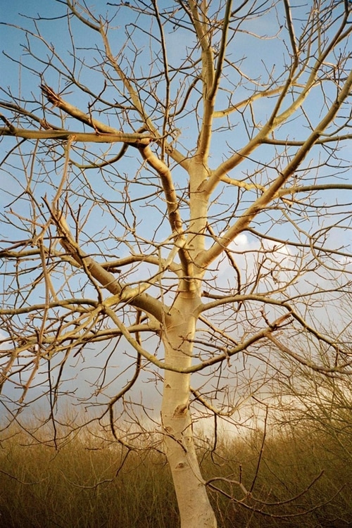 Selected works by Eva Vermandel